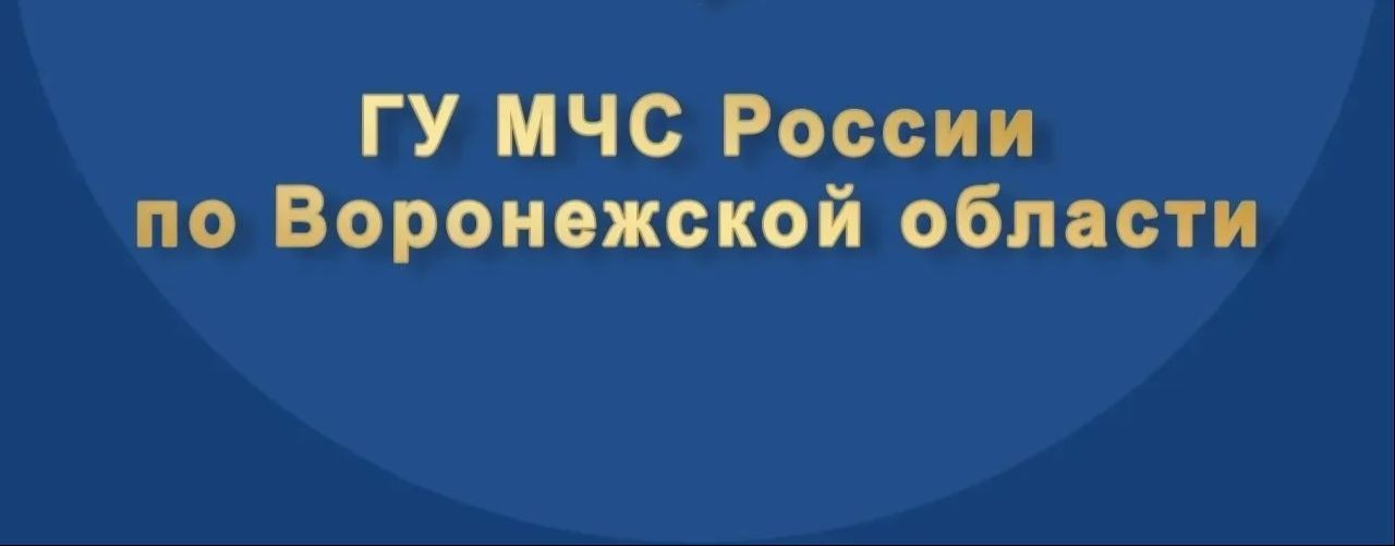 МЧС Воронеж