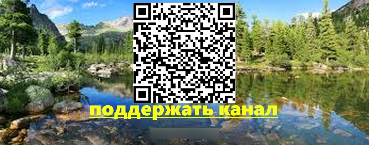 Истории на любой вкус