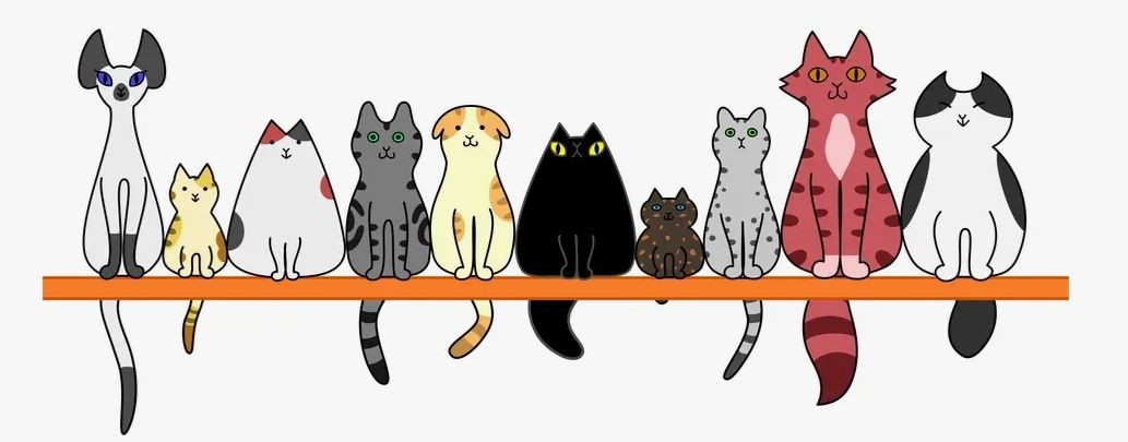 Просто приколы (из Вологды)