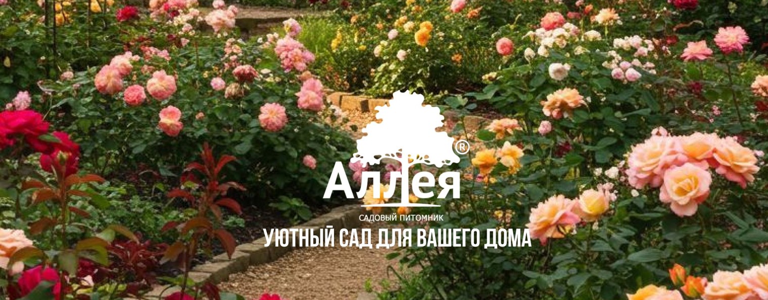 Садовый центр "Аллея"