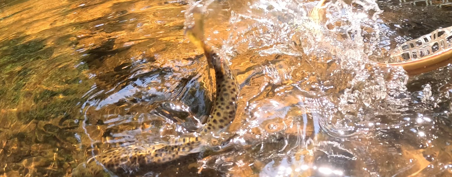 Красная Рыбалка 🔴🎣