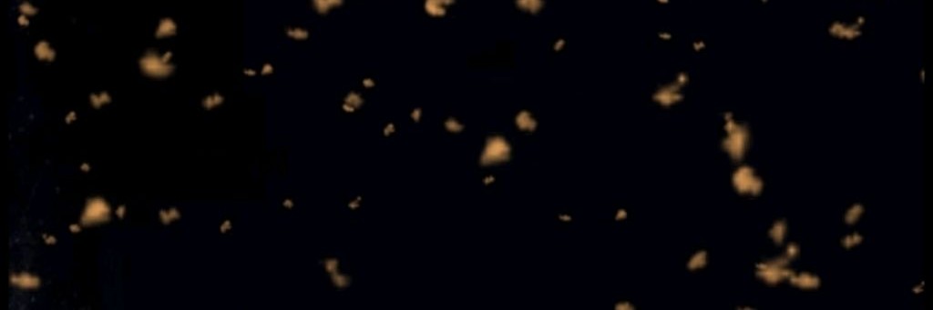 🍊Факсим Апельсин🍊