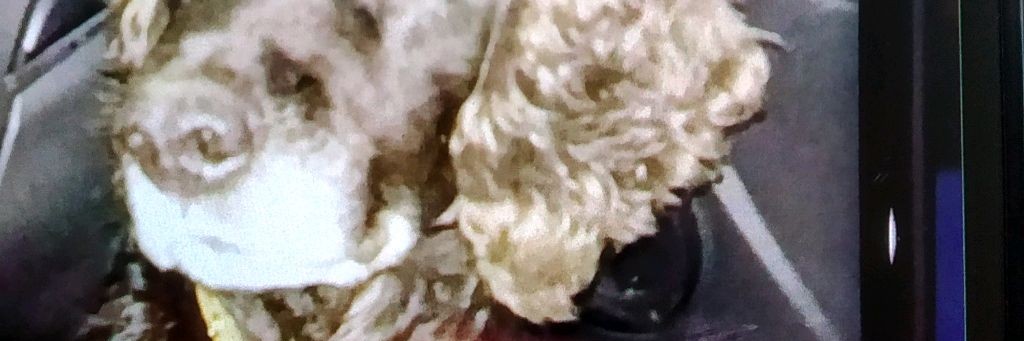 Северянин 89