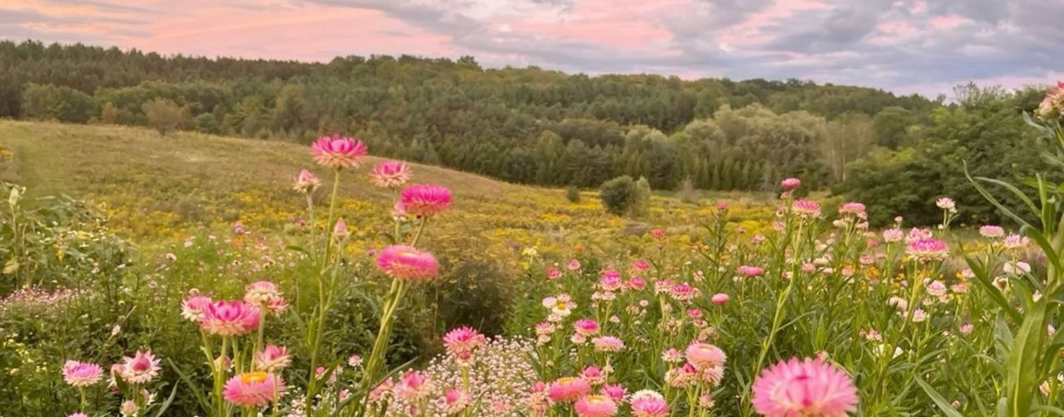 Палитра открытий