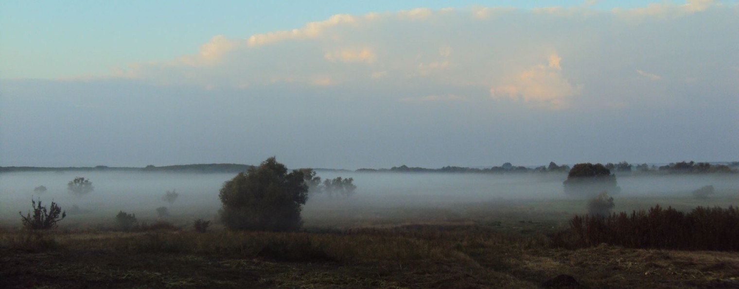 Сергей Соболев.