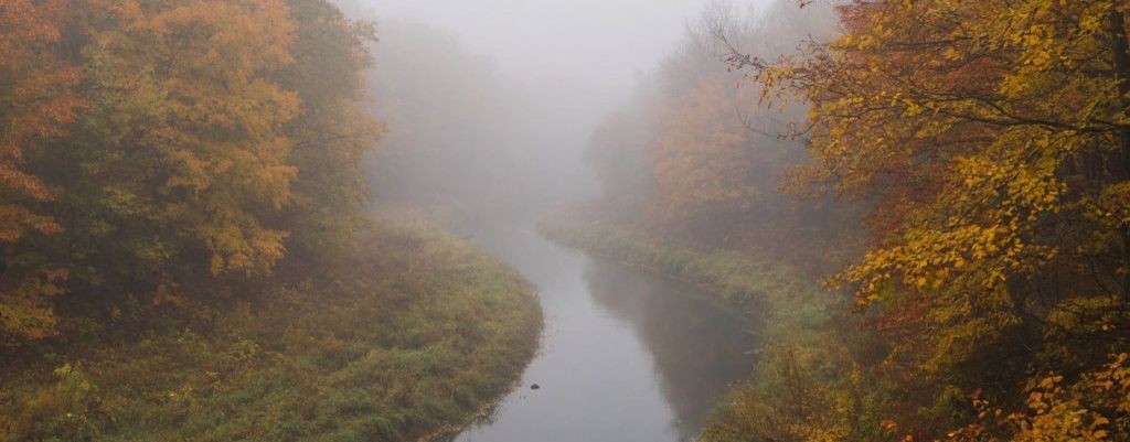Не скучно живем.