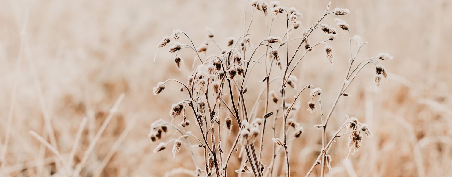 Жизненные истории из жизни