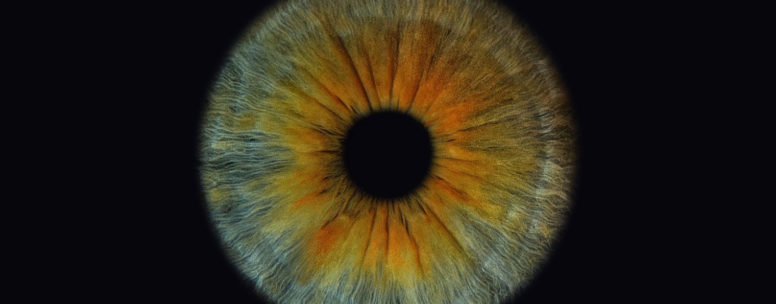 ДАРЬЯ | Дизайн и Ai-видео