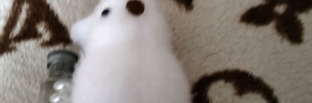 🌰 Орешек По Имени Ева🌰