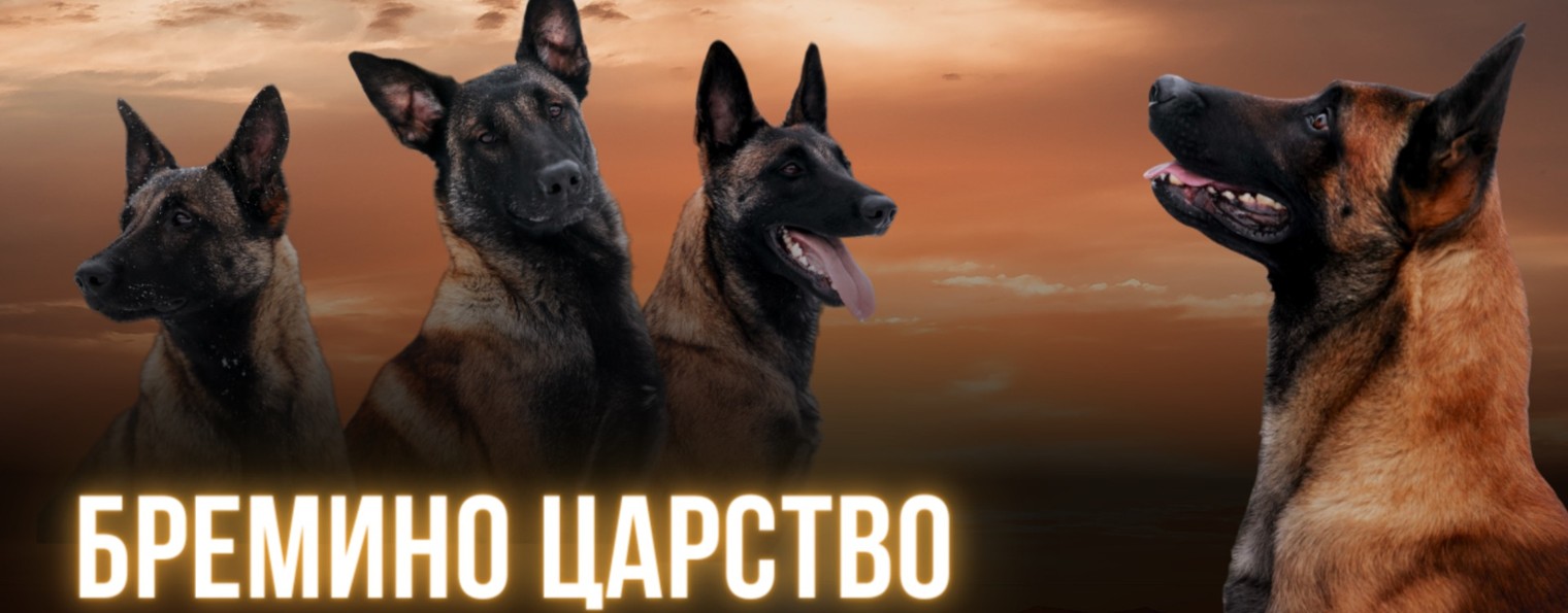 малинуа by Бремино царство