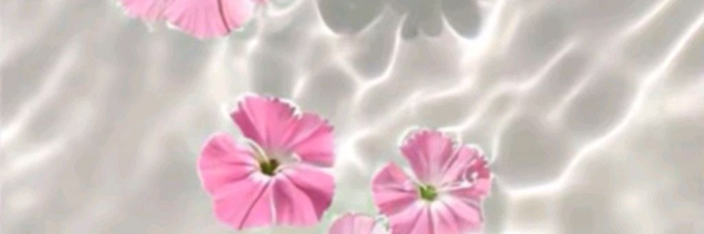 Дашенька🤍