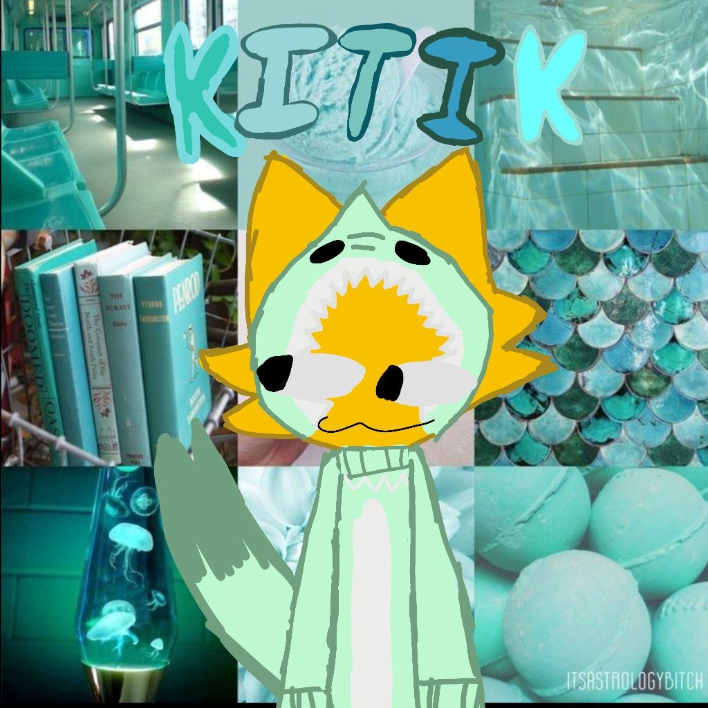 ¿𓁹◡̈★𝕂𝕀𝕋𝕀𝕂★◡̈𓁹?