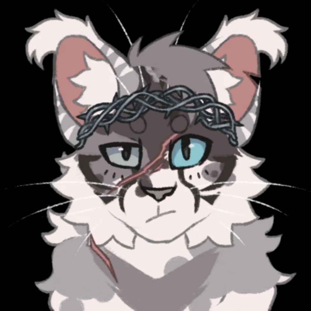 Северный Туман кв