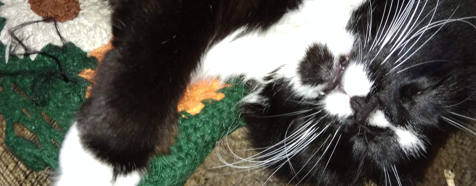 СПб - Ольга М.