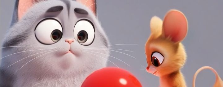 В мире животных🐼🐶🐱