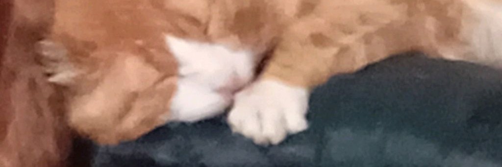 Неонкины рукоделки