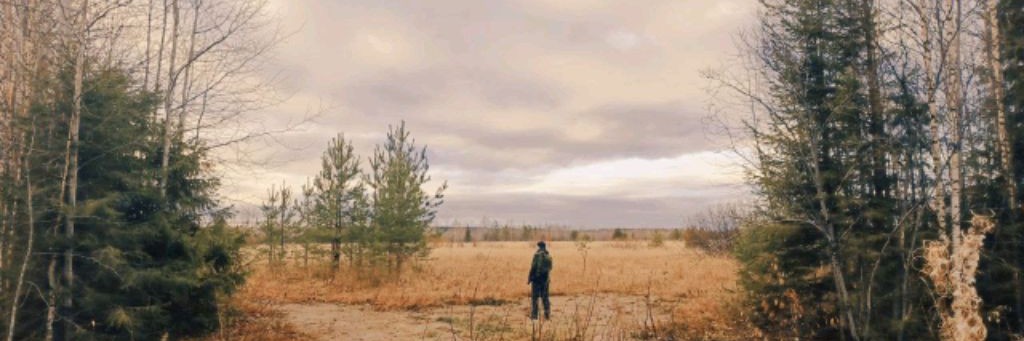 Таёжные - Жизнь в Лесу!