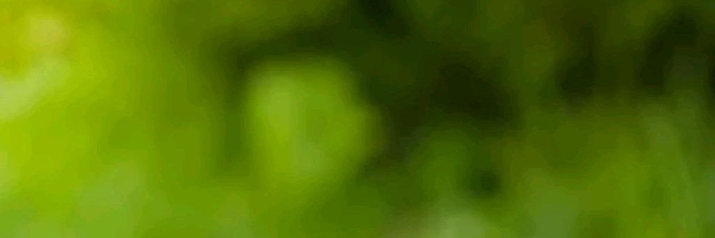 Максицыпа🐣🐣🐤🐤