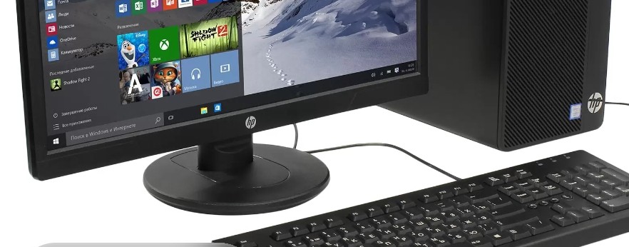 хомяк видеоблогер