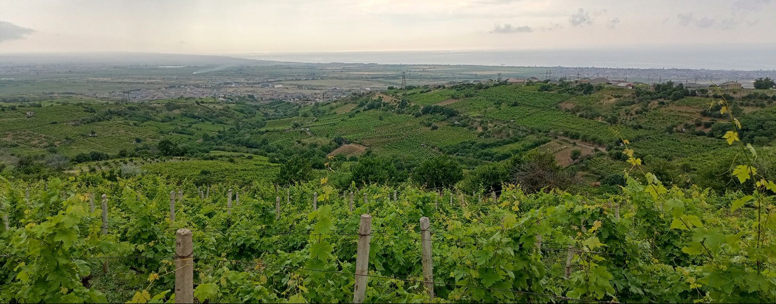 Винодельня Юга России