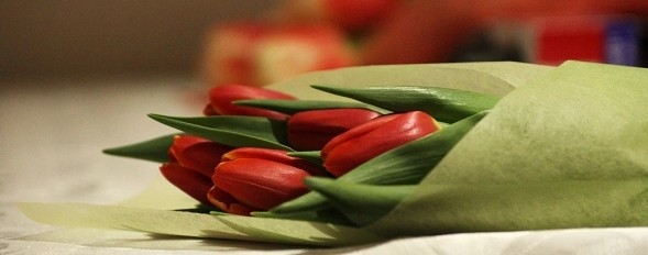 В саду у Оли