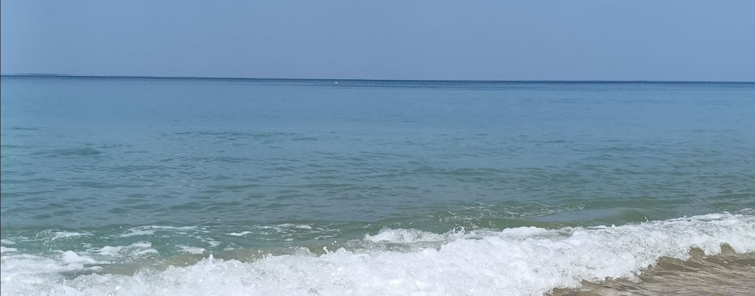 Клубничная вишня