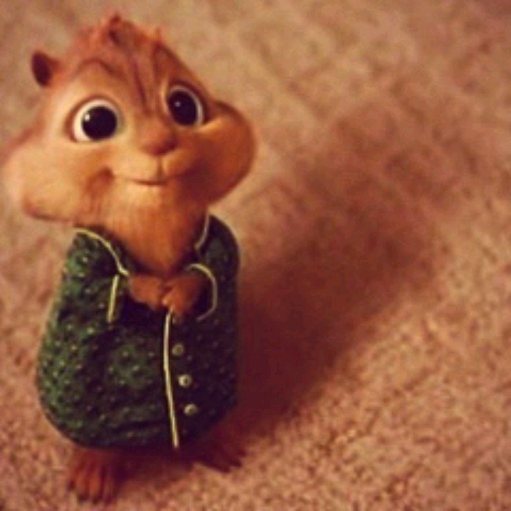 Салахиддин1