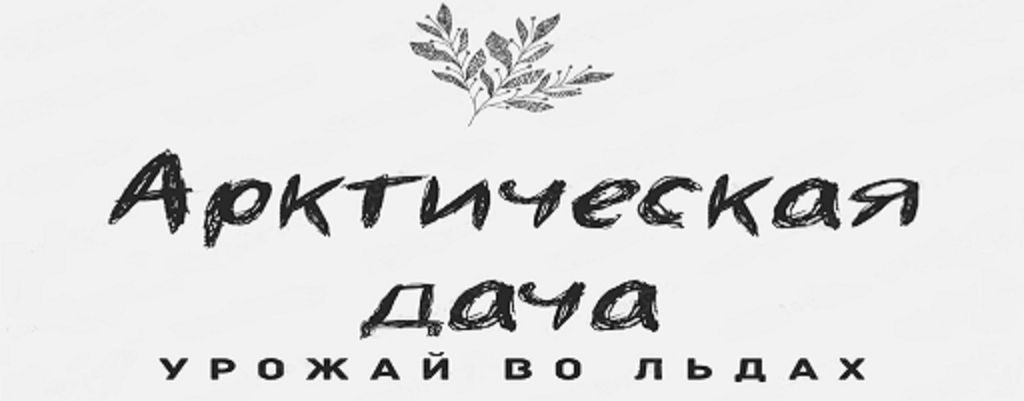 АРКТИЧЕСКАЯ ДАЧА