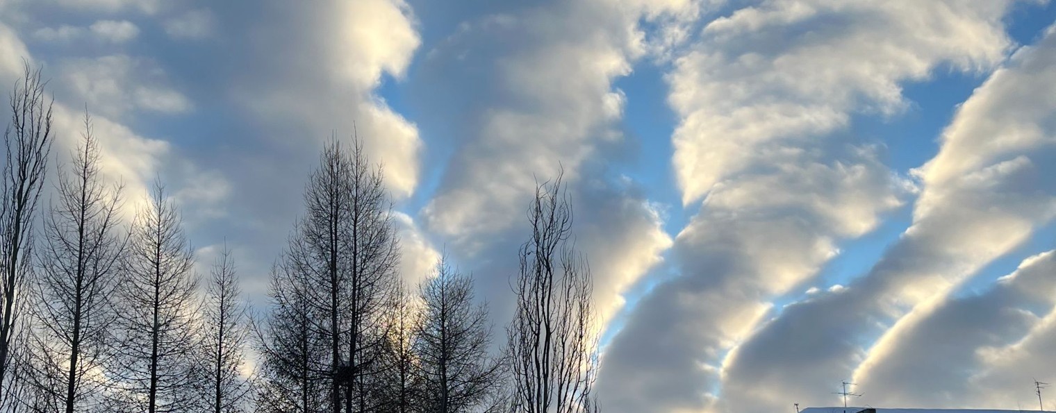 Залесская Марина Пусть всегда будет музыка