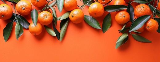 Аринчик-мандаринчик