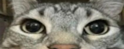LOLWOL