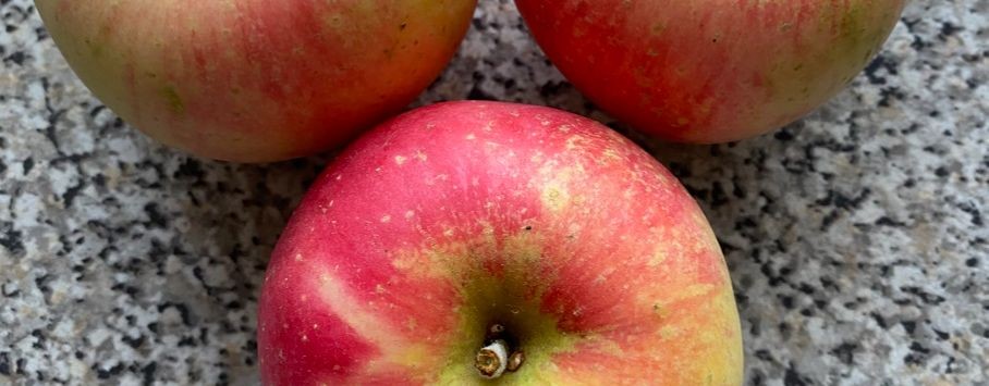 Эва Шервуд ♫