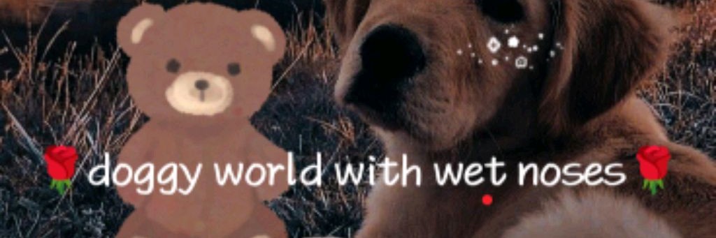 ★$♪~doggy world with wet noses~♪$★