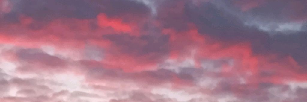 Ӄɪᴛ֟፝ᴛყ♡_