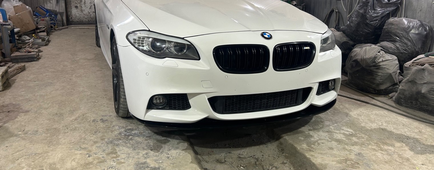 ночной феникс