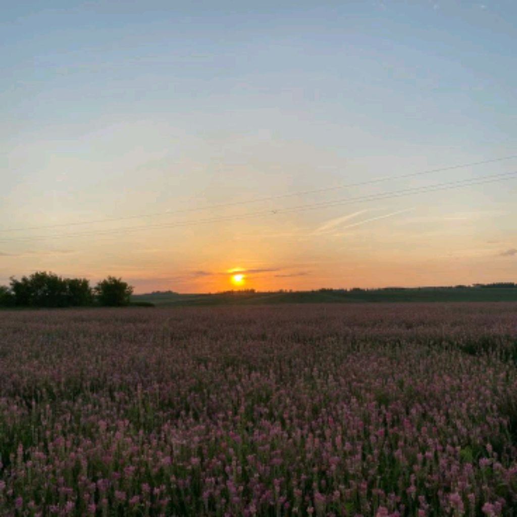 Блэйз SuperSus
𐙚
𓍼
౨ৎ
ꔫ
୨୧
⌁
➷
ᨒ
❀
୨୧
✶