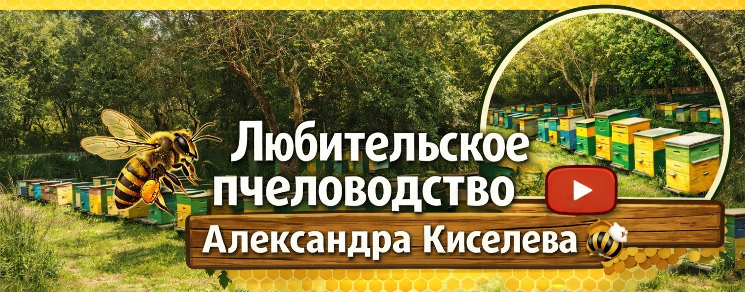 Любительское пчеловодство Александра Киселёва