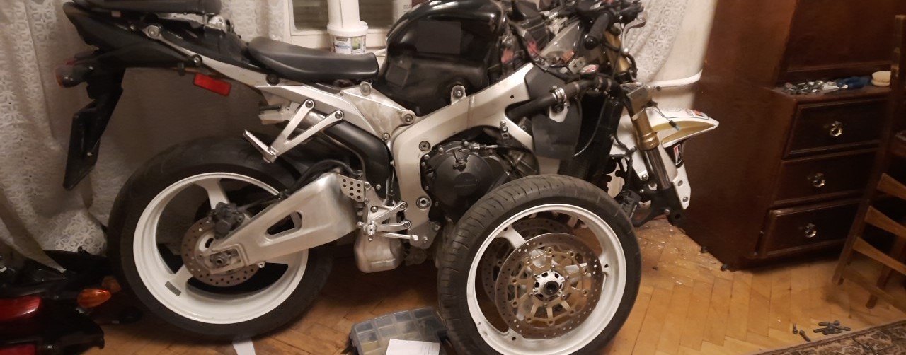 Мотореаниматология