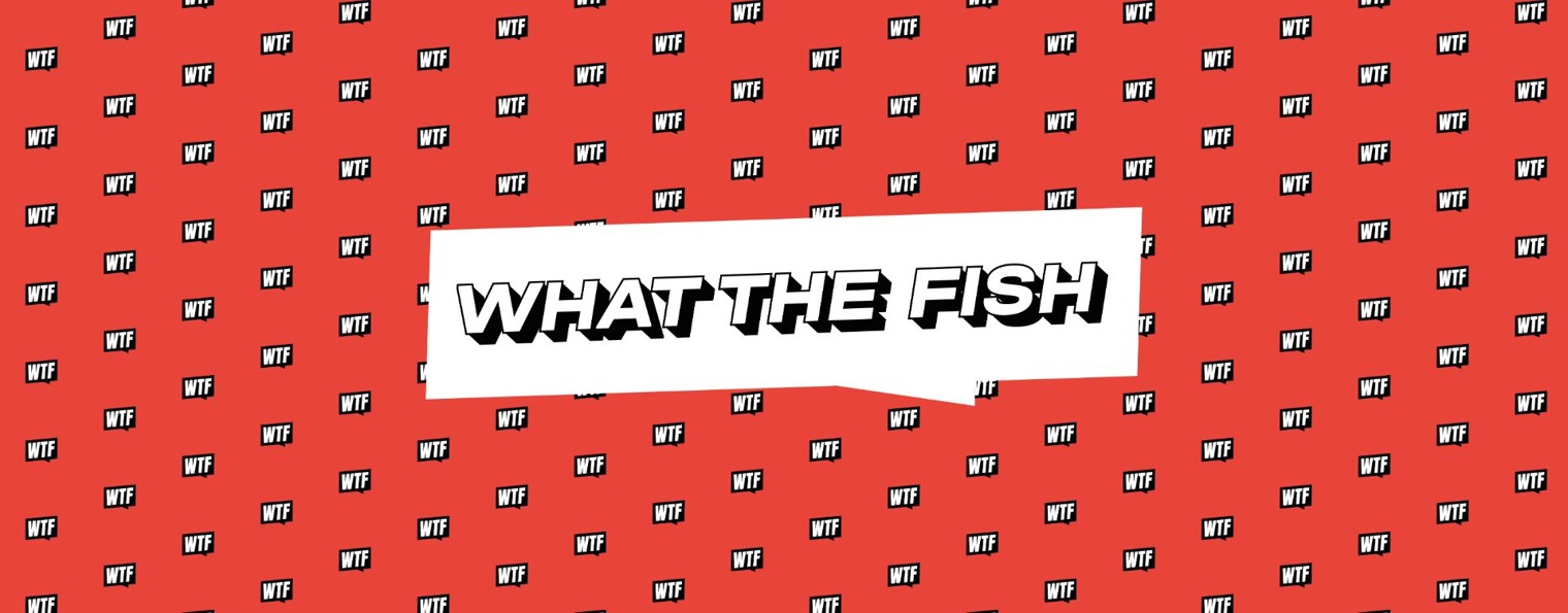 WTFish - эстетика современной рыбалки