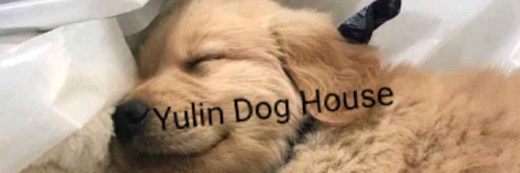 Yulin Dog House☆