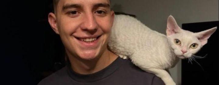 Fllay (Glent top) 🎀🎀