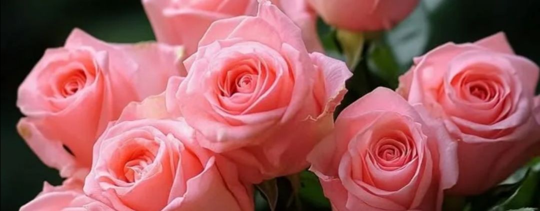 Натали Виноградова Певица.