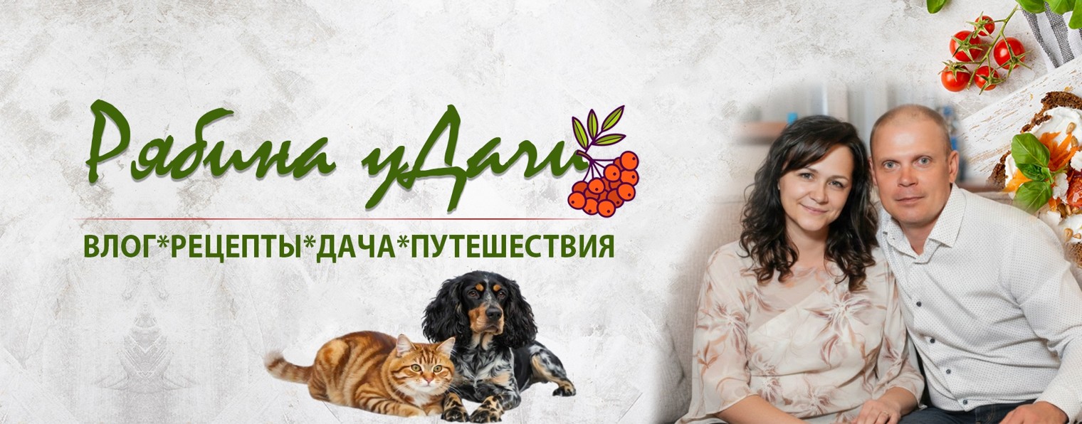 Рябина уДачи