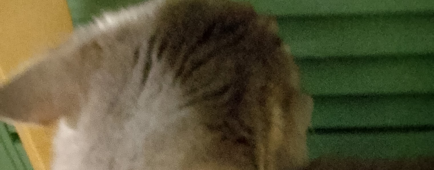 КаТлеТкИ👺🇪🇬