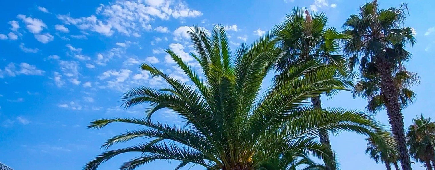 СИЛА В ПРИРОДЕ