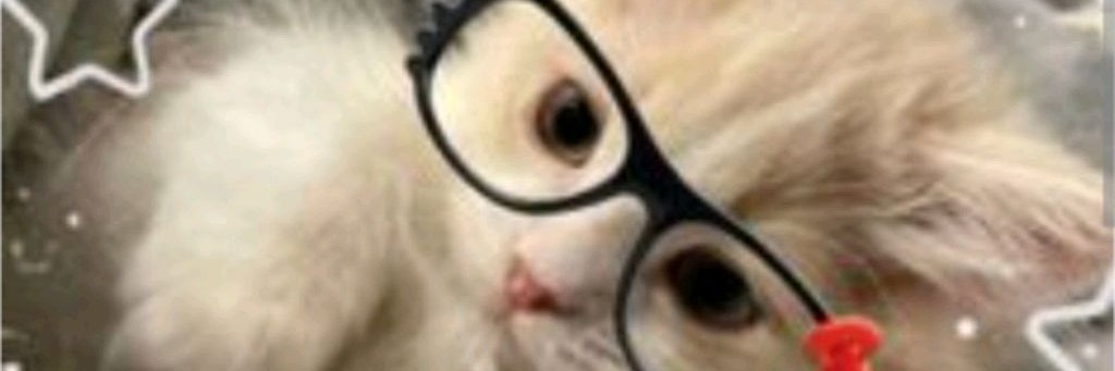 Истории Пони Сони