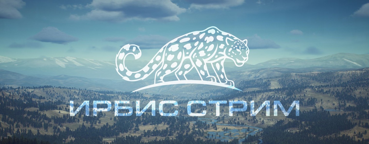 ИРБИС СТРИМ