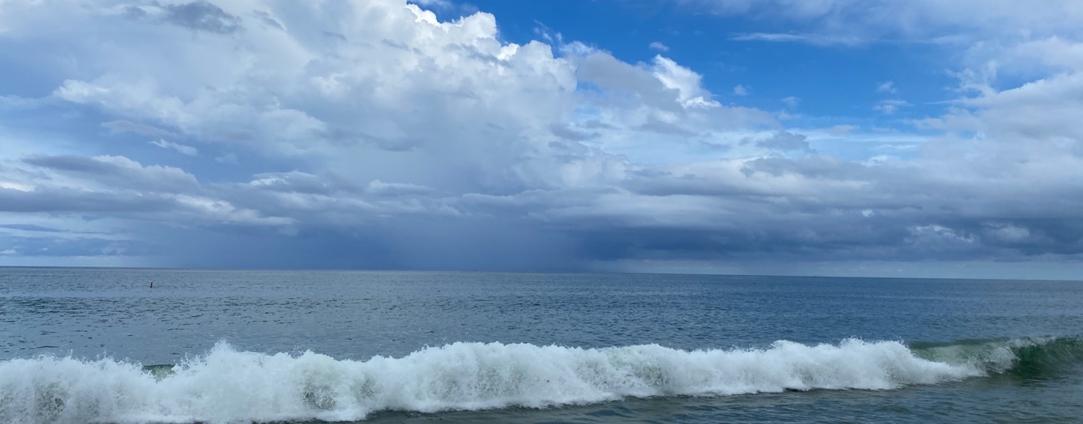 Полина Даккури