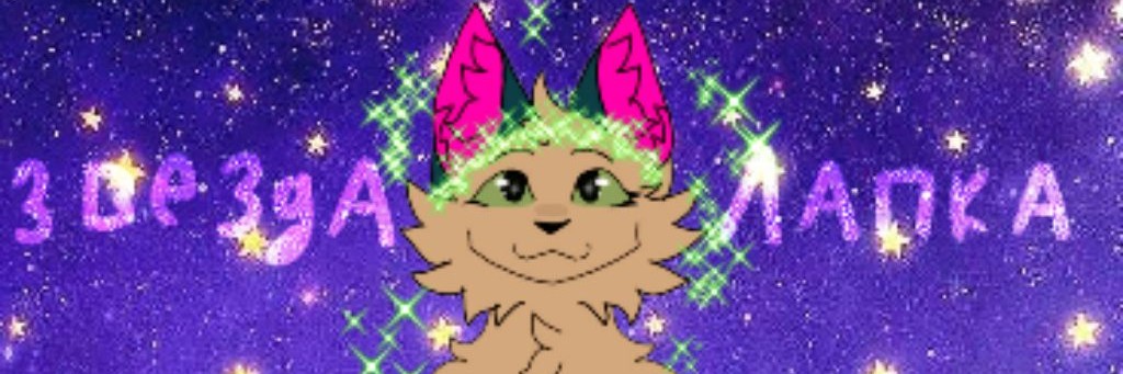 💞⭐️Звездалапка КВ⭐️💞