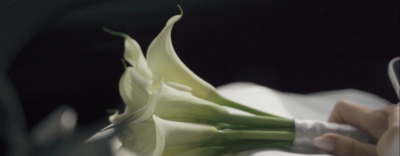 Екатерина Курек — видеоработы